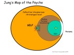 Jung’s Map of the Psyche | Full Circle POV